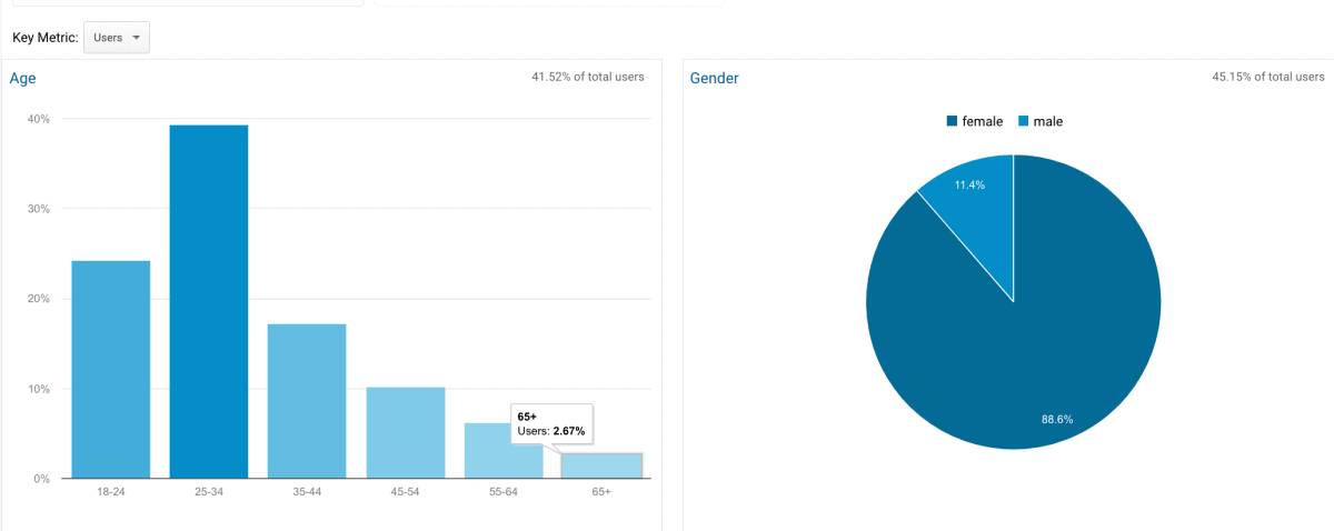 The Ultimate Guide on Finding your Blog’s Target Audience – Stray Curls