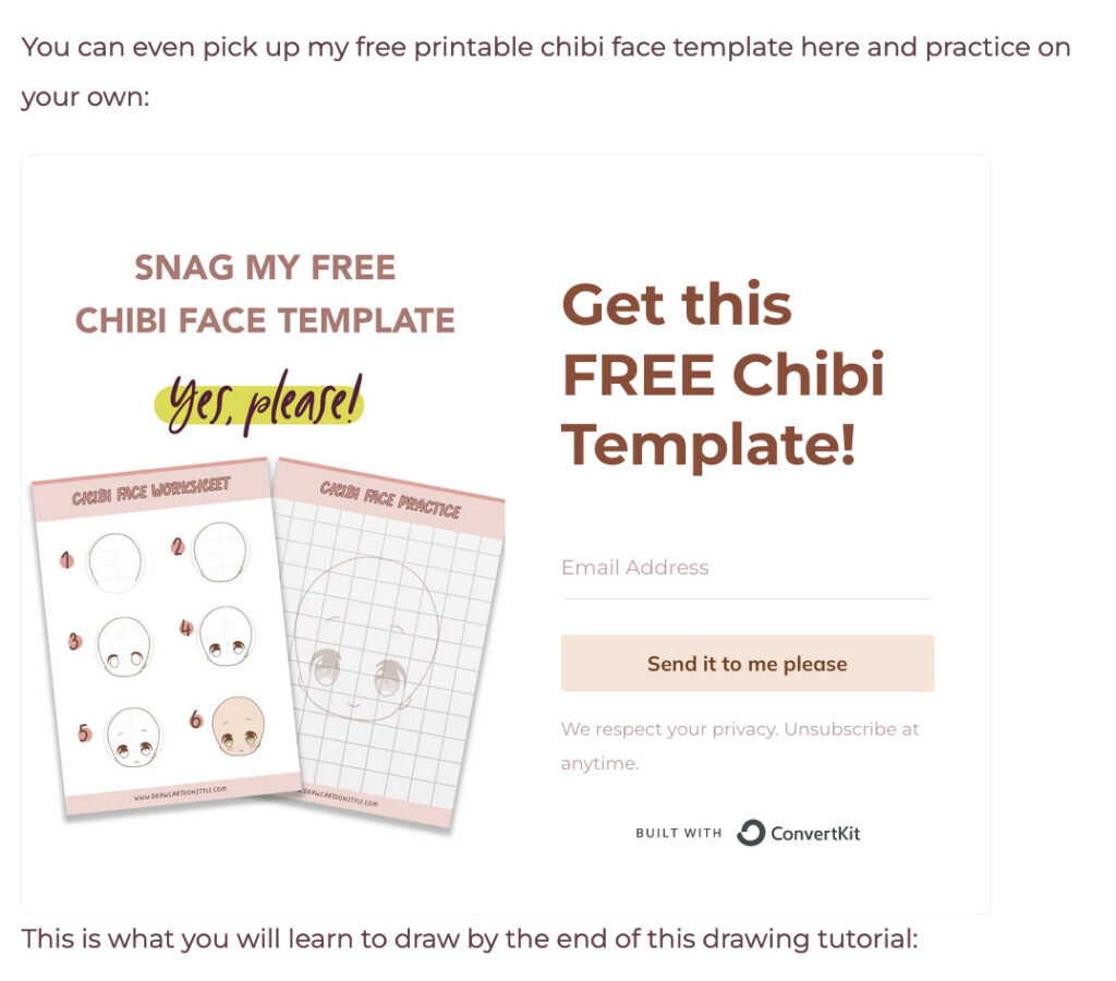 How to Add an Opt-in Form to Your Website with ConvertKit – Stray Curls